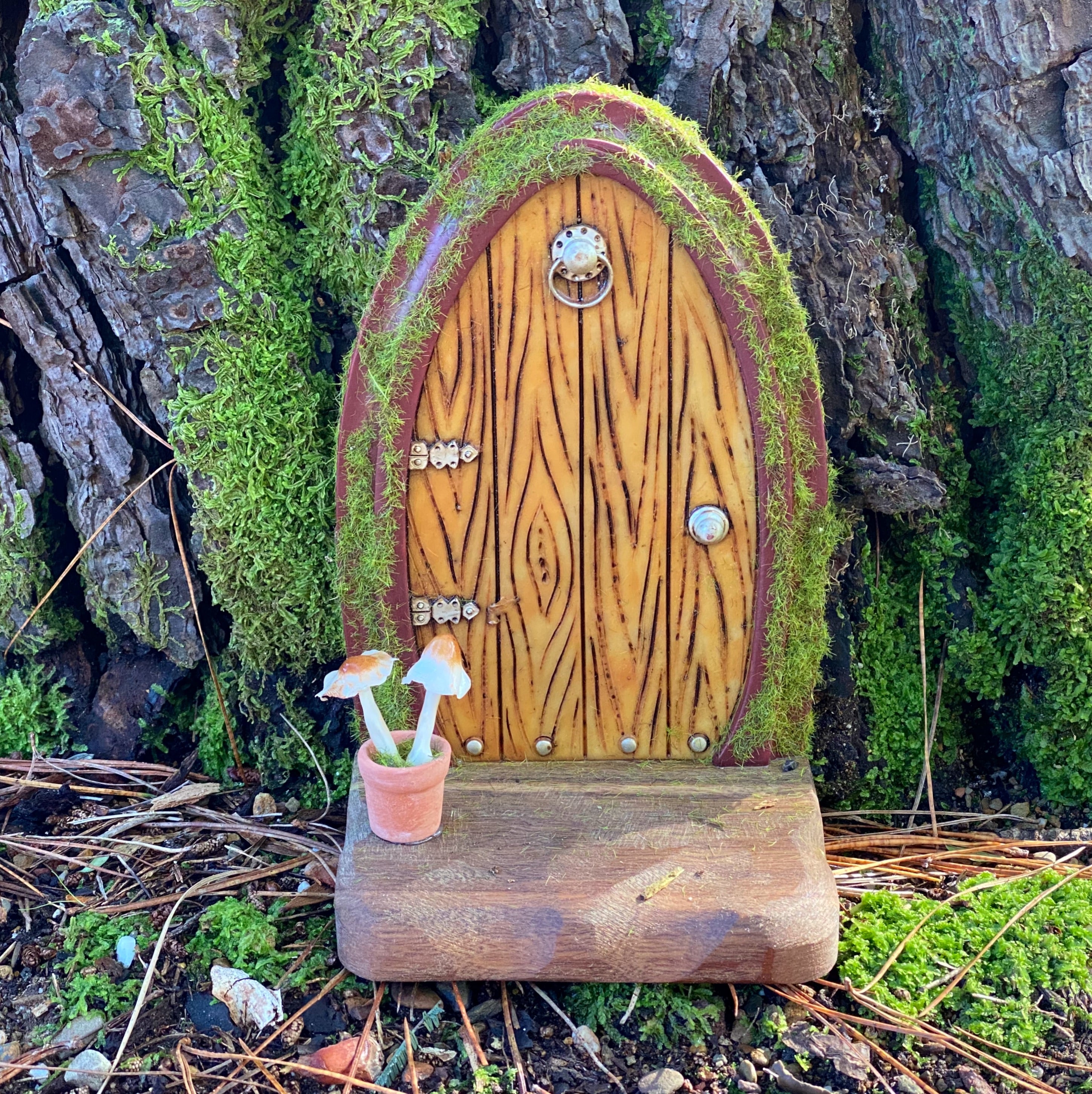 Fairy Doors & Windows – Steph the Fairy Maker